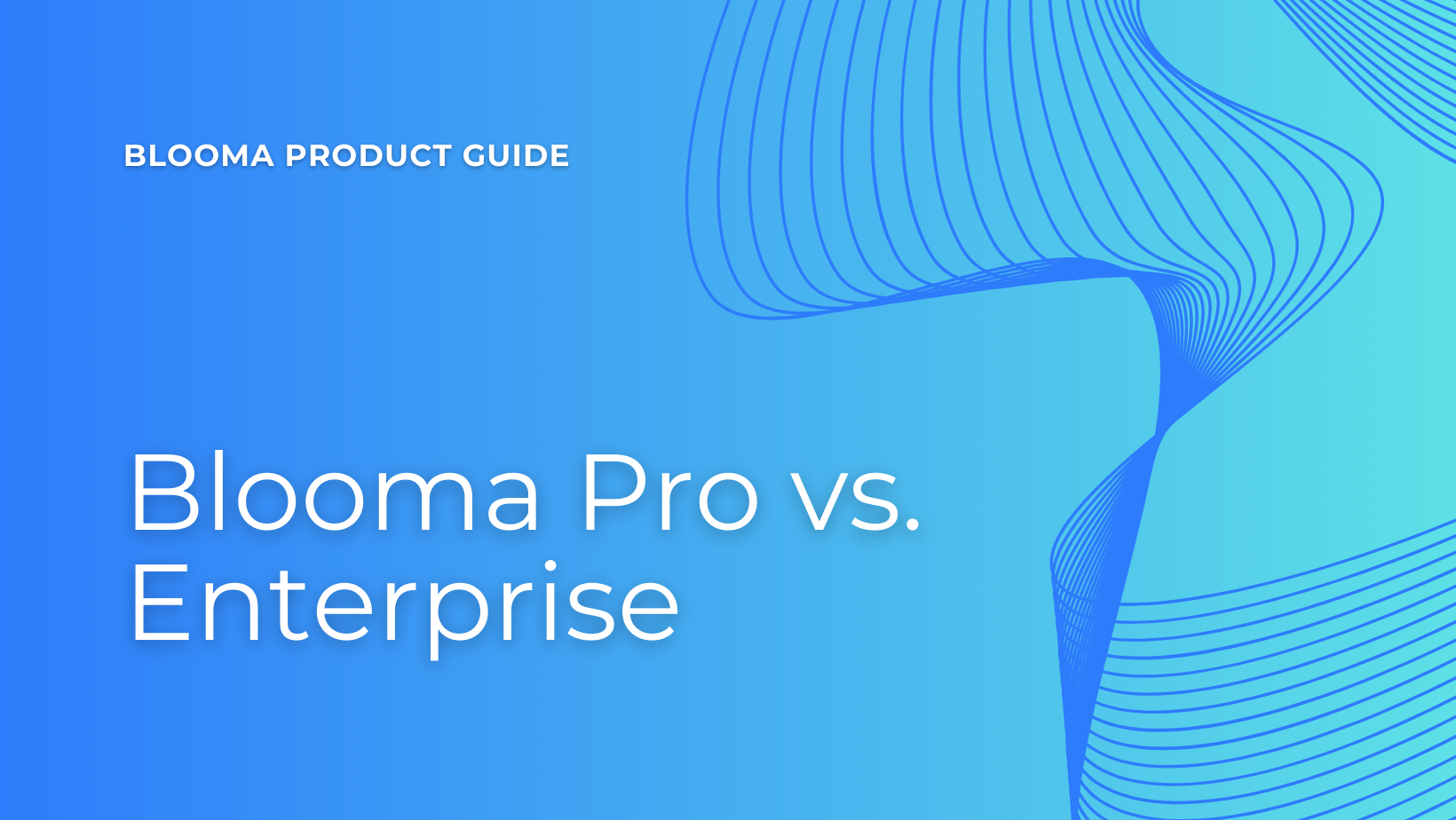 Which Blooma Solution is Right for You? Comparing Pro and Enterprise